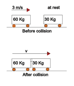IGCSE Physics Topic 1.6 - Momentum Notes